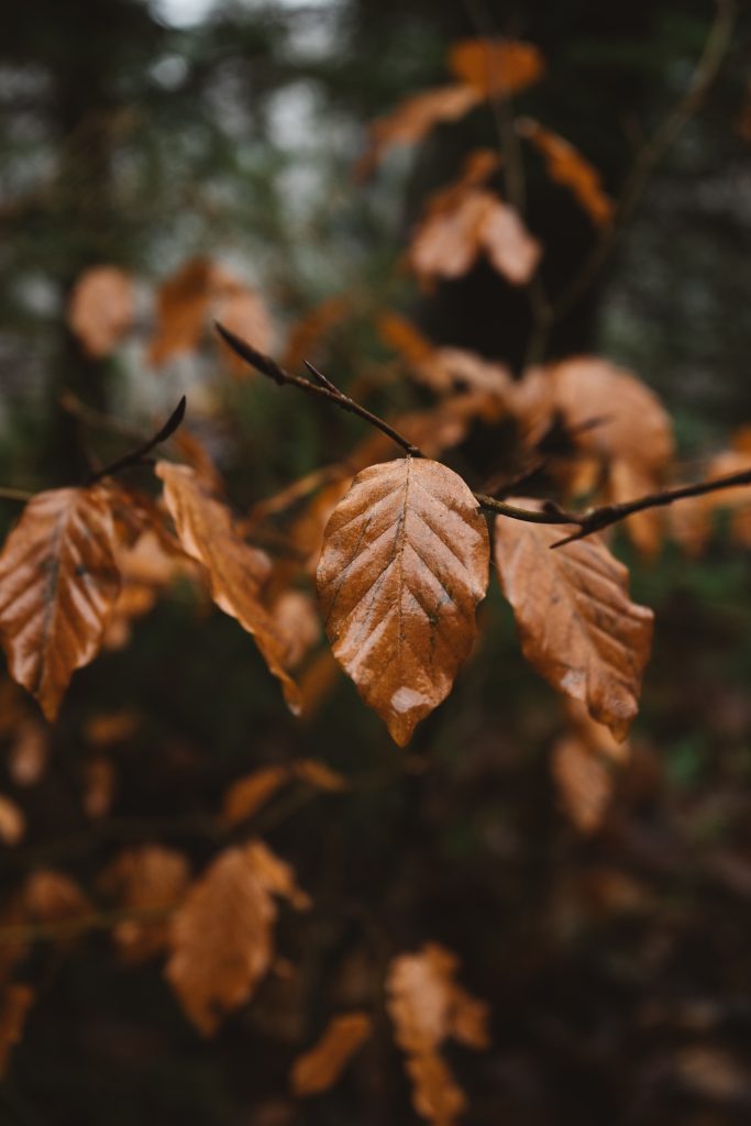 Quelles sont les 4 caractéristiques de l'environnement de l'entreprise ... Quelles sont les 4 caractéristiques de l'environnement de l'entreprise ...